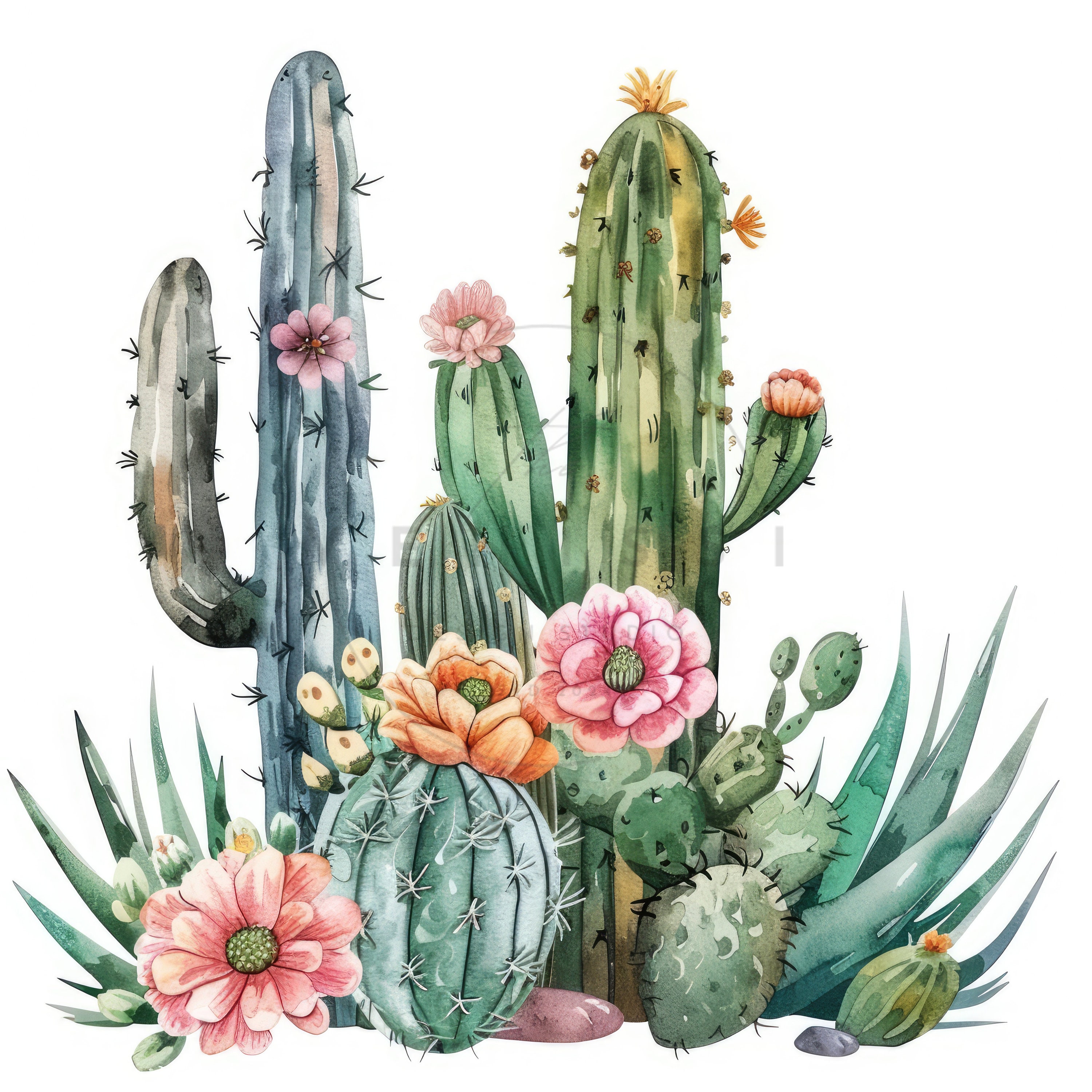 16 Blooming Cactus Watercolor Clipart Set, Desert Plant Clipart ...