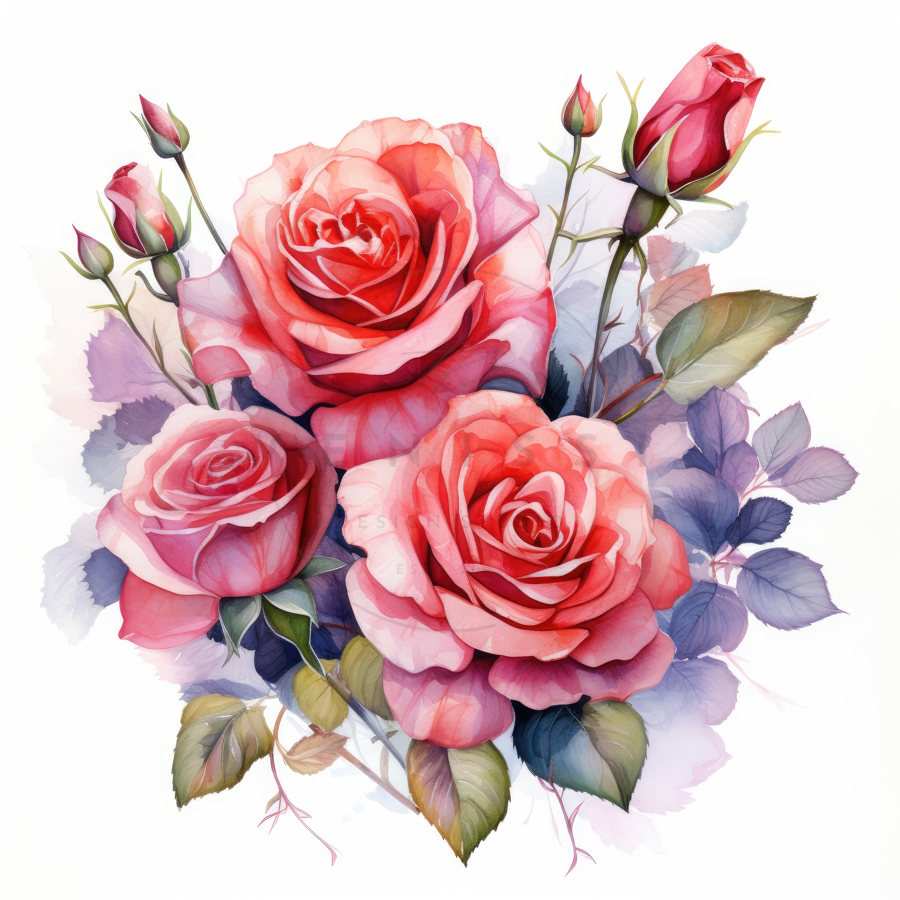 15 Watercolor Roses Clipart, Watercolor Spring Flowers Clipart ...