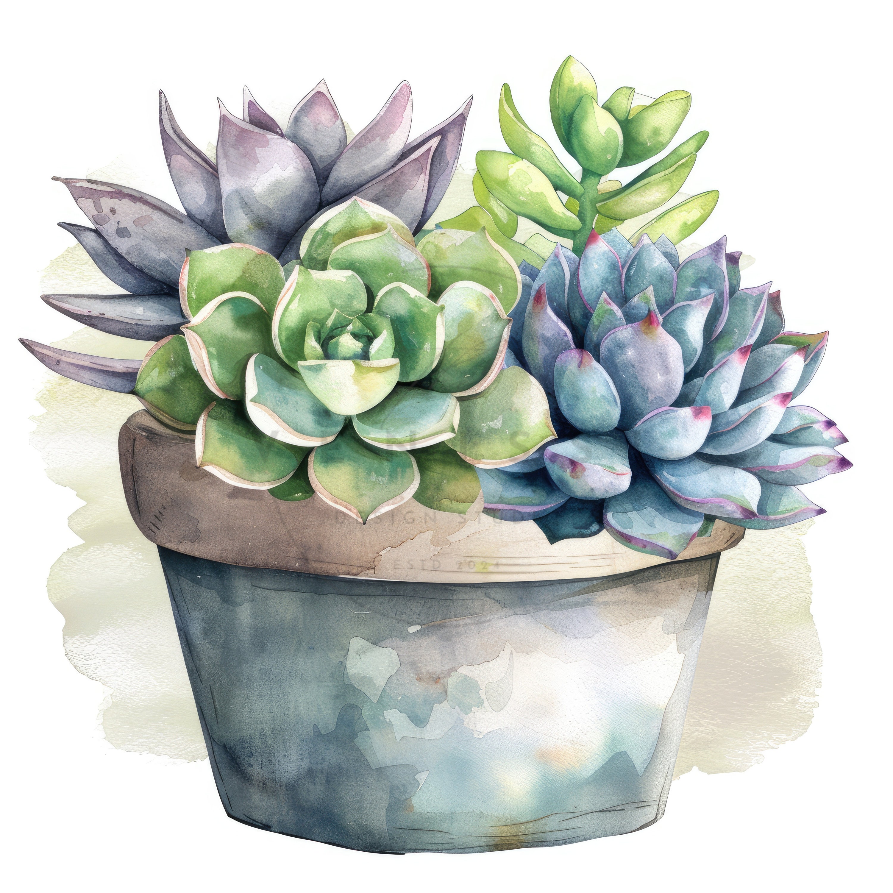 11 Potted Succulents Clipart, Succulent in Pot, Printable Watercolor ...