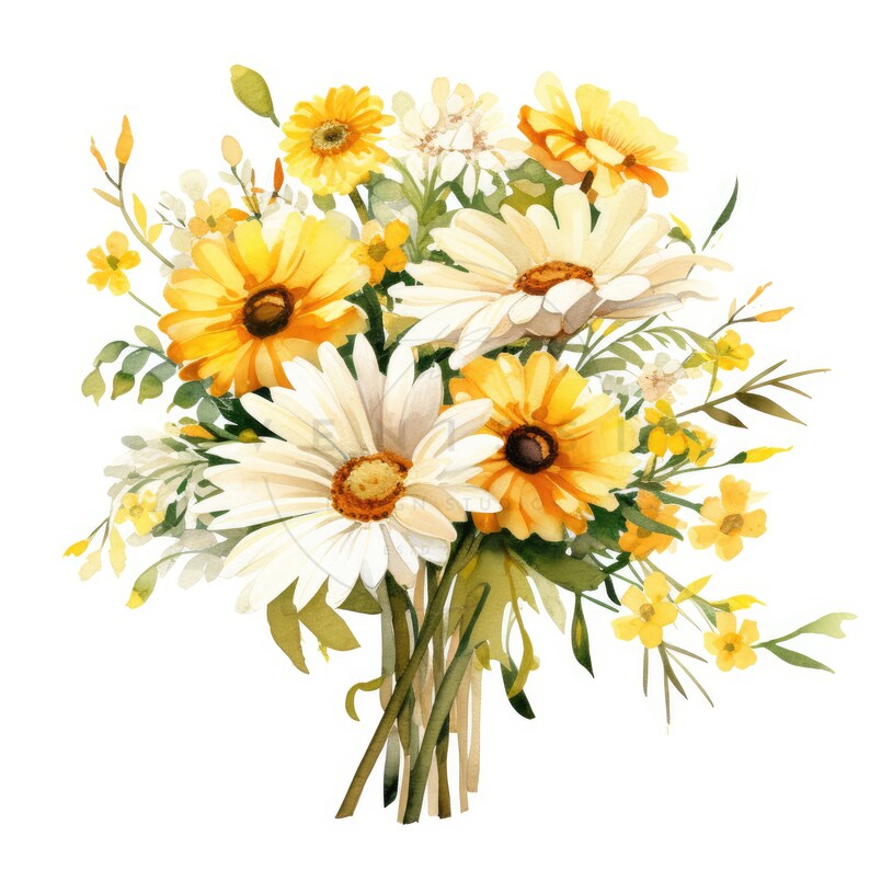 10 Daisy Flowers Bouqet Clipart, Watercolor Daisies Bouquet Clipart ...
