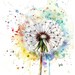 13 Watercolor Dandelion Clipart Pack, Wildflower Clip Art Set ...