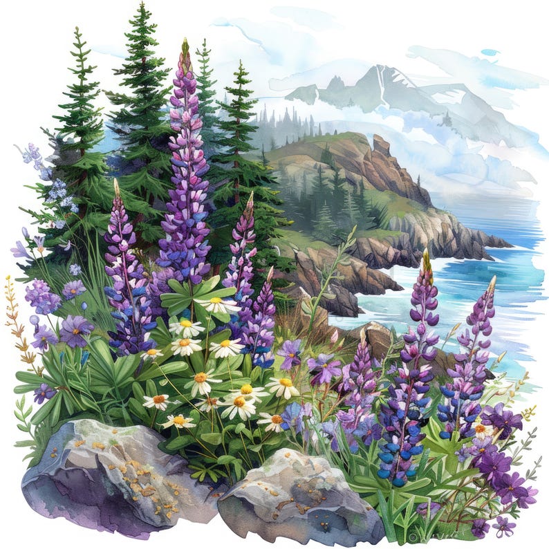 15 Alaskan Coastal Landscape Clipart, Watercolor Forest Clip Art ...