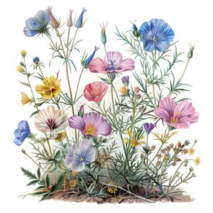 11 Vintage Wildflowers Clipart Bundle, Spring Flowers Clipart Set ...