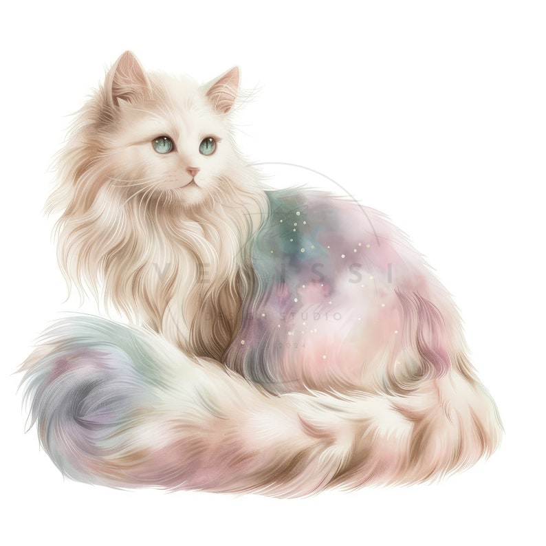 10 Ragdoll Clipart Set, Fluffy Cat Clipart, High Quality Jpgs ...