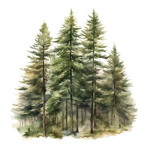13 Pine Tree Forest Clipart, Watercolor Forest Clip Art, Printable High ...