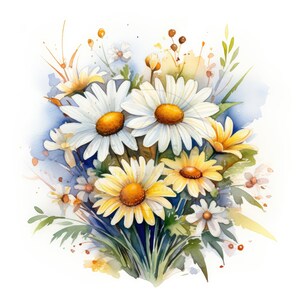 10 Daisy Flowers Bouqet Clipart, Watercolor Daisies Bouquet Clipart ...