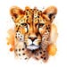 14 Cheetah Clipart, Watercolor Cheetah Print, Safari Animal Clipart ...
