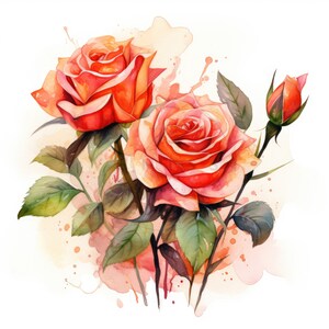 15 Watercolor Roses Clipart, Watercolor Spring Flowers Clipart ...