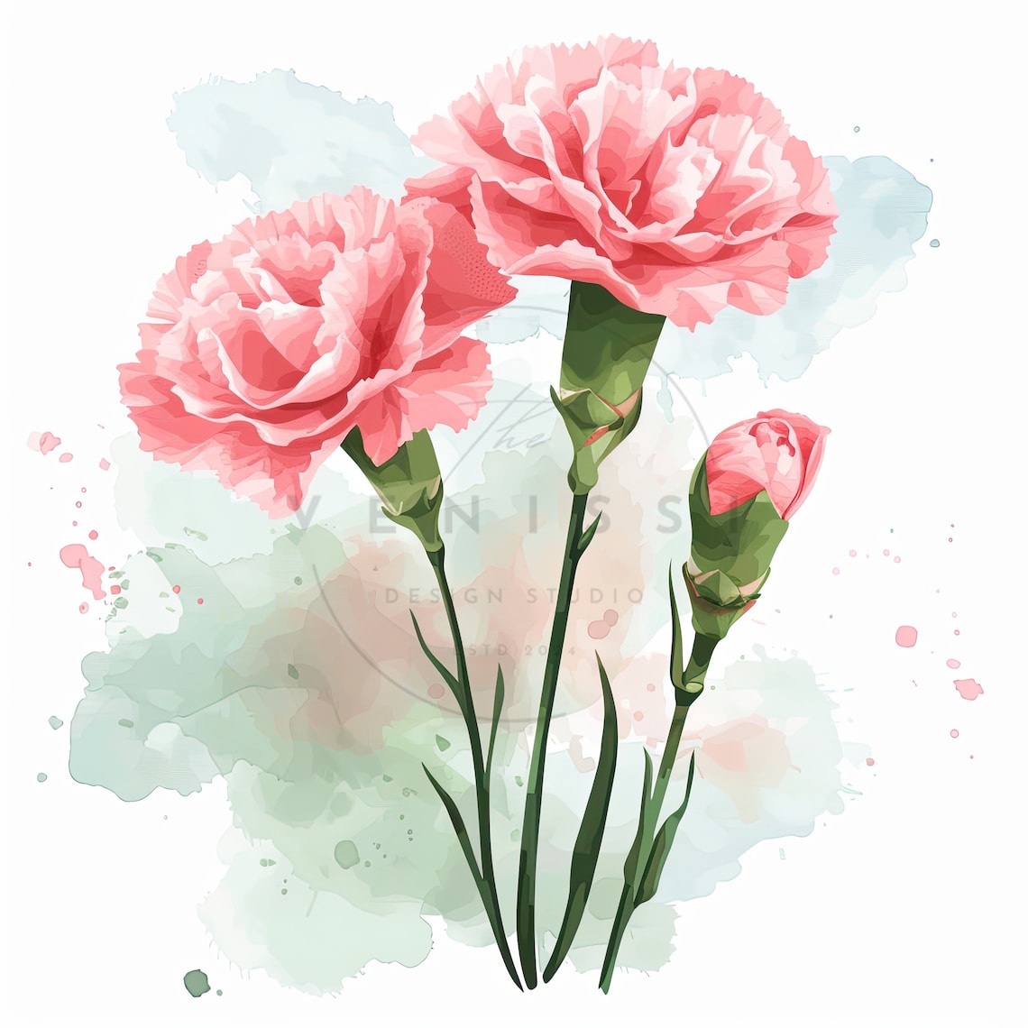 9 Watercolor Pink Carnation Flower Clipart Bundle, Flowers Clipart ...