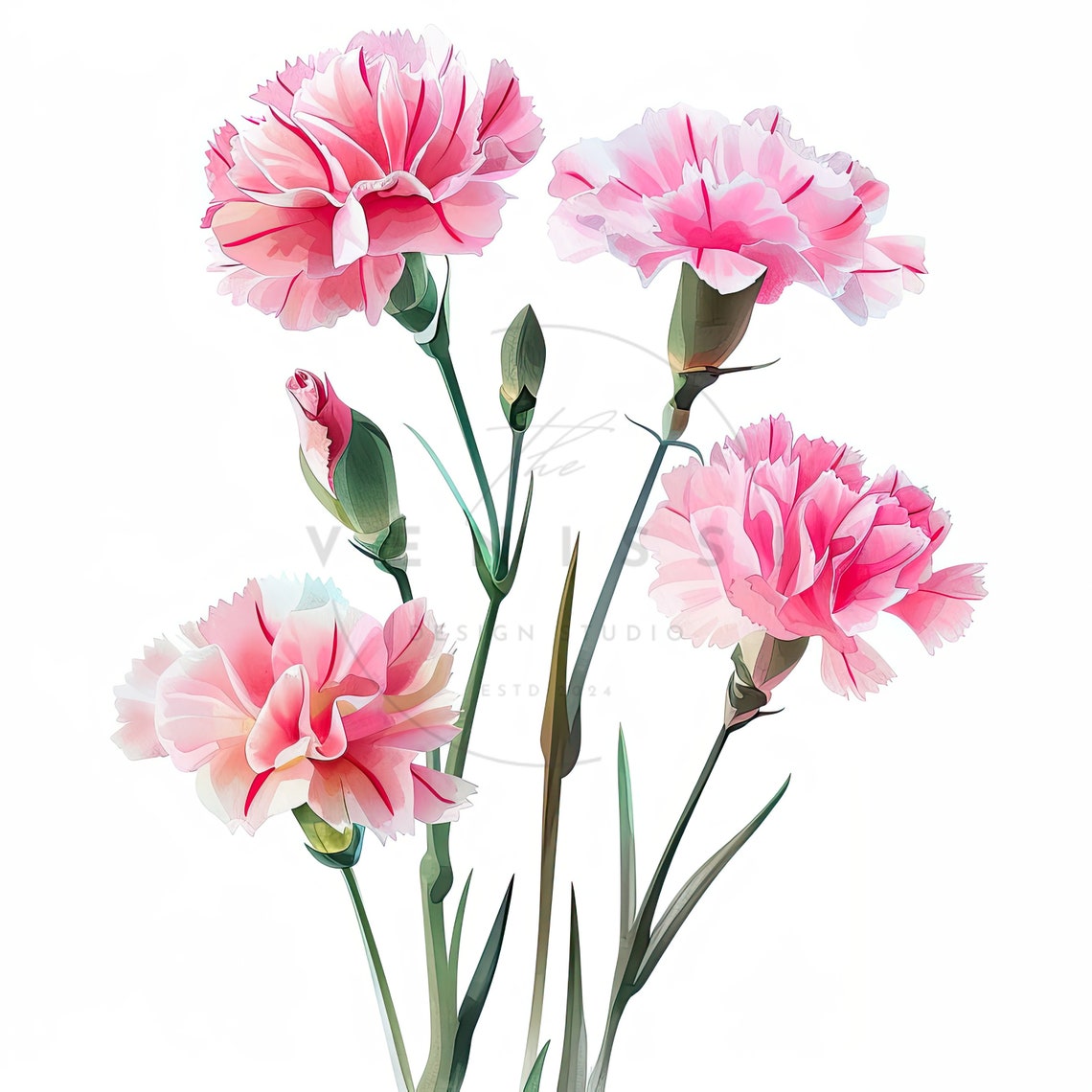 9 Watercolor Pink Carnation Flower Clipart Bundle, Flowers Clipart ...