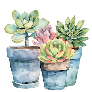 11 Potted Succulents Clipart, Succulent in Pot, Printable Watercolor ...