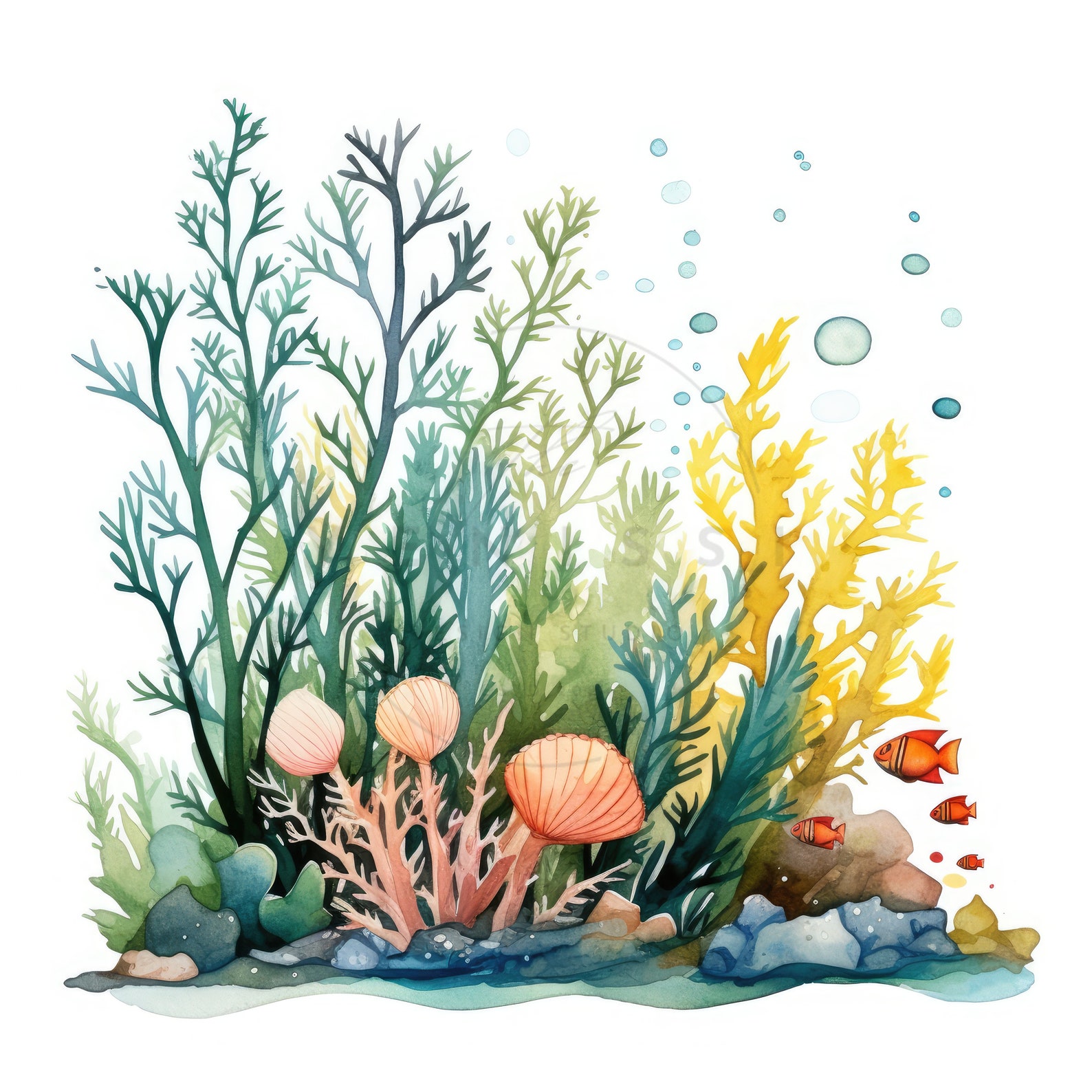 14 Underwater Coral Reef Plants Clipart, Watercolor Coral Reef Clip Art ...