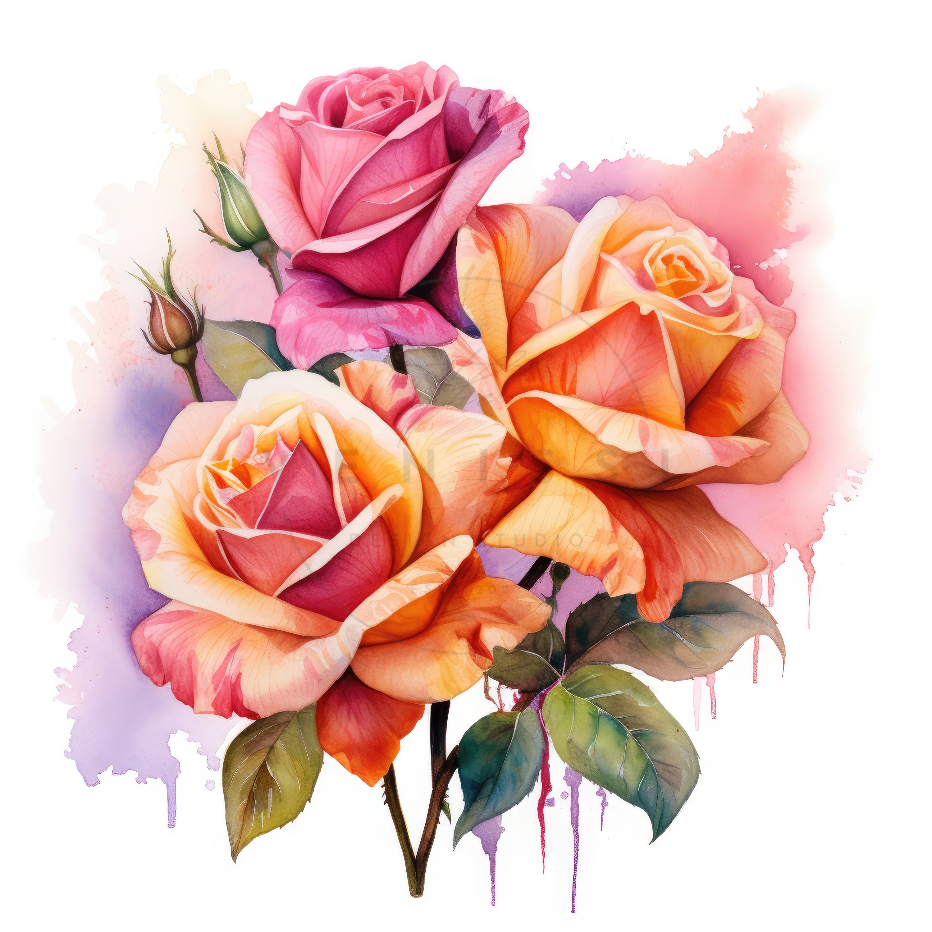 15 Watercolor Roses Clipart, Watercolor Spring Flowers Clipart ...
