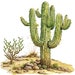 12 Watercolor Cactus in Desert Landscape Clipart Set, Desert Plant ...