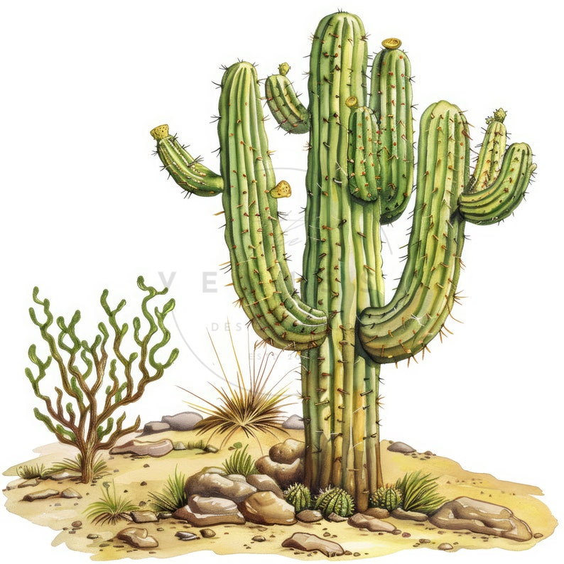12 Watercolor Cactus in Desert Landscape Clipart Set, Desert Plant ...