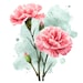9 Watercolor Pink Carnation Flower Clipart Bundle, Flowers Clipart ...