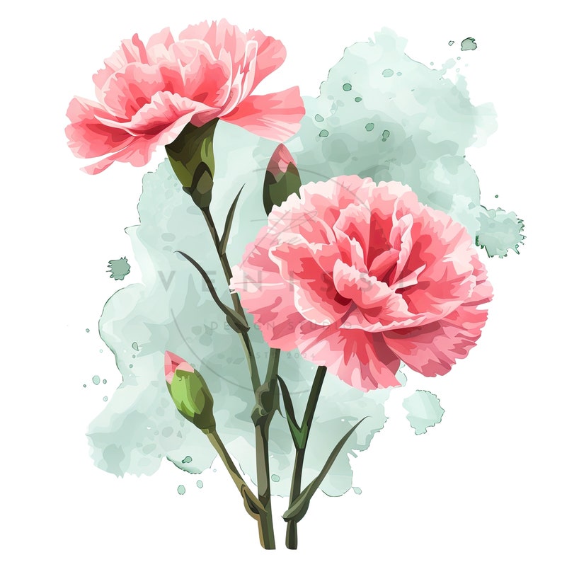 9 Watercolor Pink Carnation Flower Clipart Bundle, Flowers Clipart ...