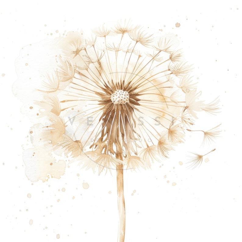 13 Watercolor Gold Dandelion Clipart Set, Spring Flowers Bouquet ...