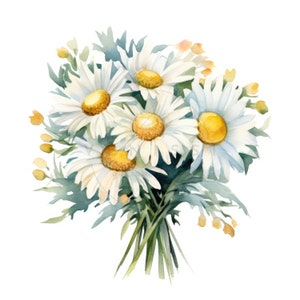 10 Daisy Flowers Bouqet Clipart, Watercolor Daisies Bouquet Clipart ...