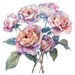 12 Pastel Roses Bouquet Clipart, Watercolor Spring Flowers Clipart ...