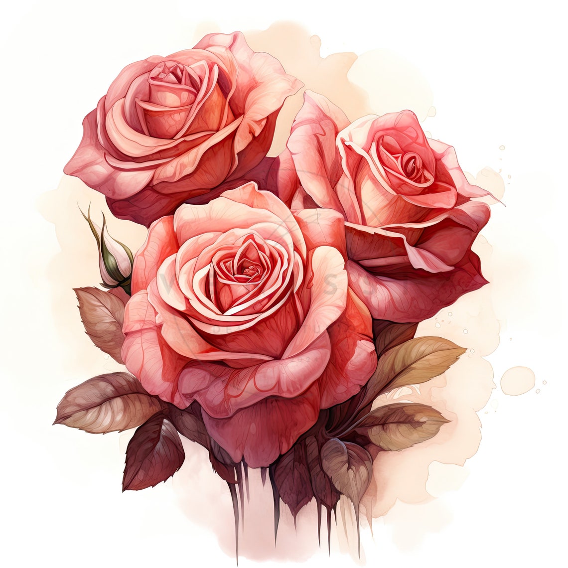 15 Watercolor Roses Clipart, Watercolor Spring Flowers Clipart ...