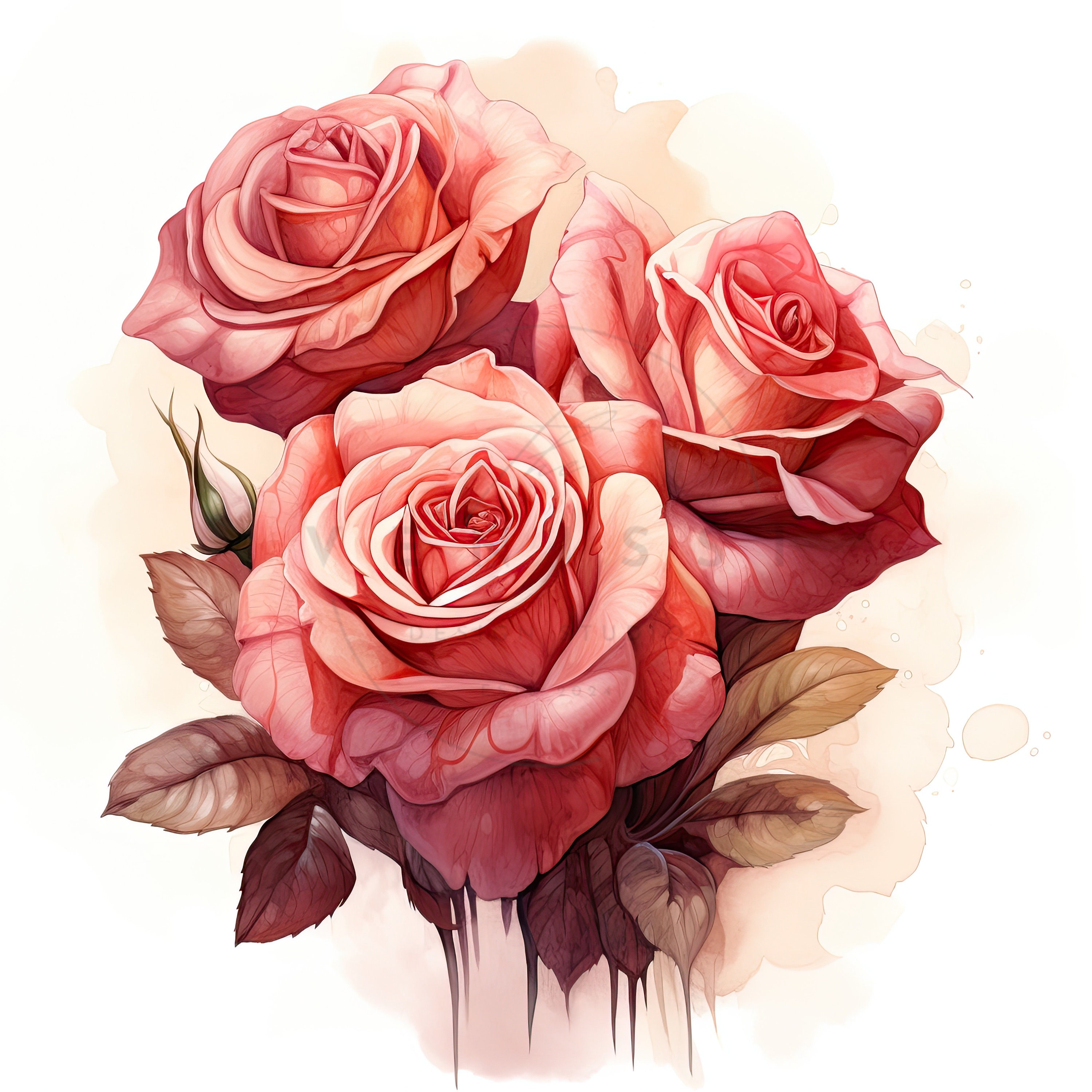 15 Watercolor Roses Clipart, Watercolor Spring Flowers Clipart ...