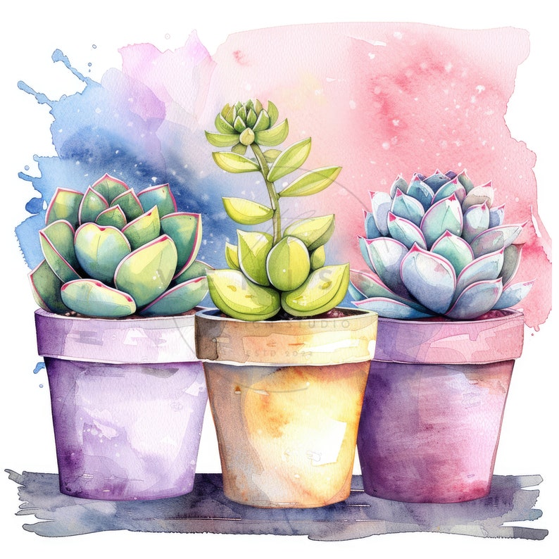 11 Potted Succulents Clipart, Succulent in Pot, Printable Watercolor ...