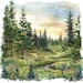 12 Canadian Forest Trees Clipart, Watercolor Forest Land Clip Art ...