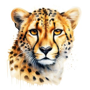 10 Cheetah Clipart, Watercolor Cheetah Print, Safari Animal Clipart ...