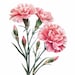 9 Watercolor Pink Carnation Flower Clipart Bundle, Flowers Clipart ...