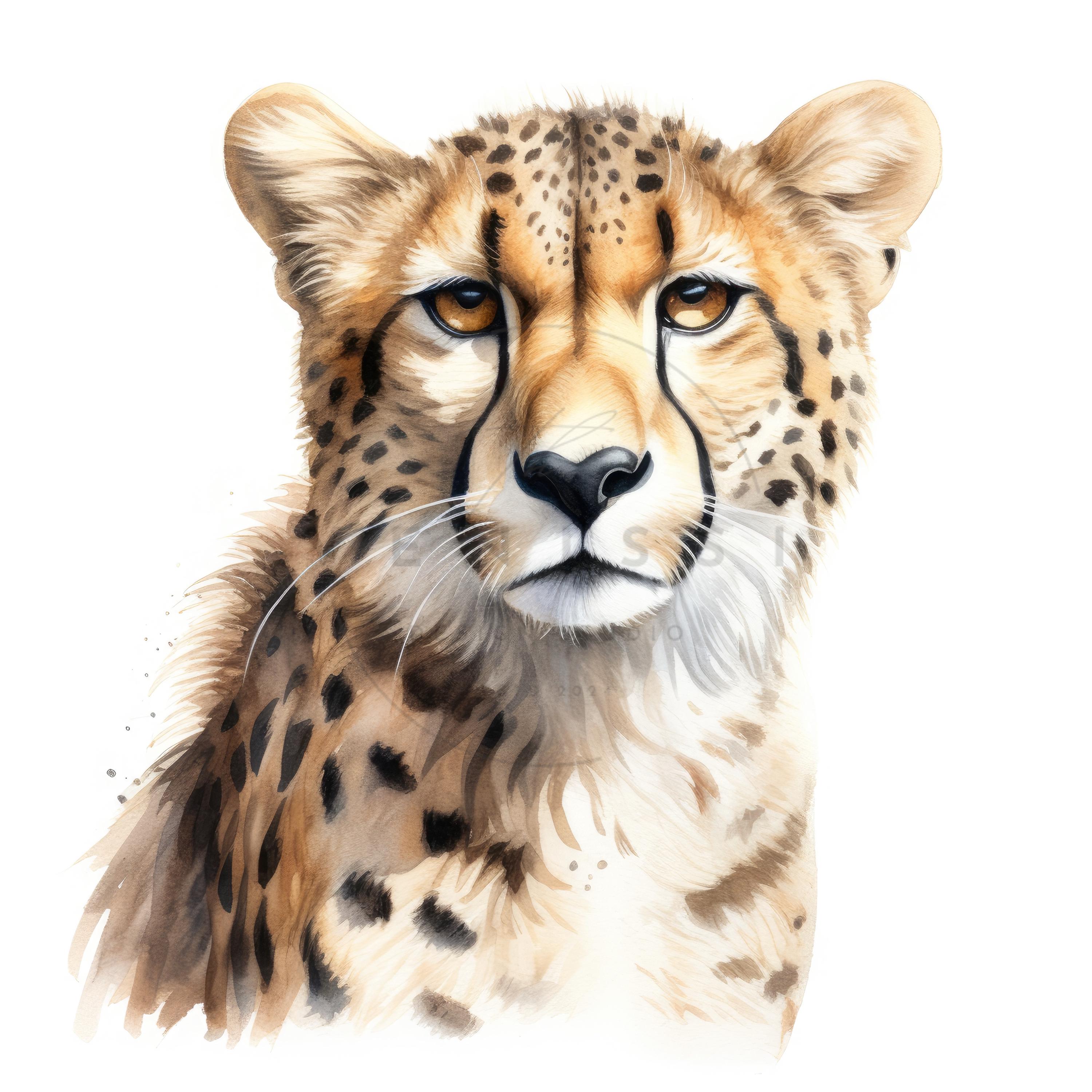 10 Cheetah Clipart, Watercolor Cheetah Print, Safari Animal Clipart ...