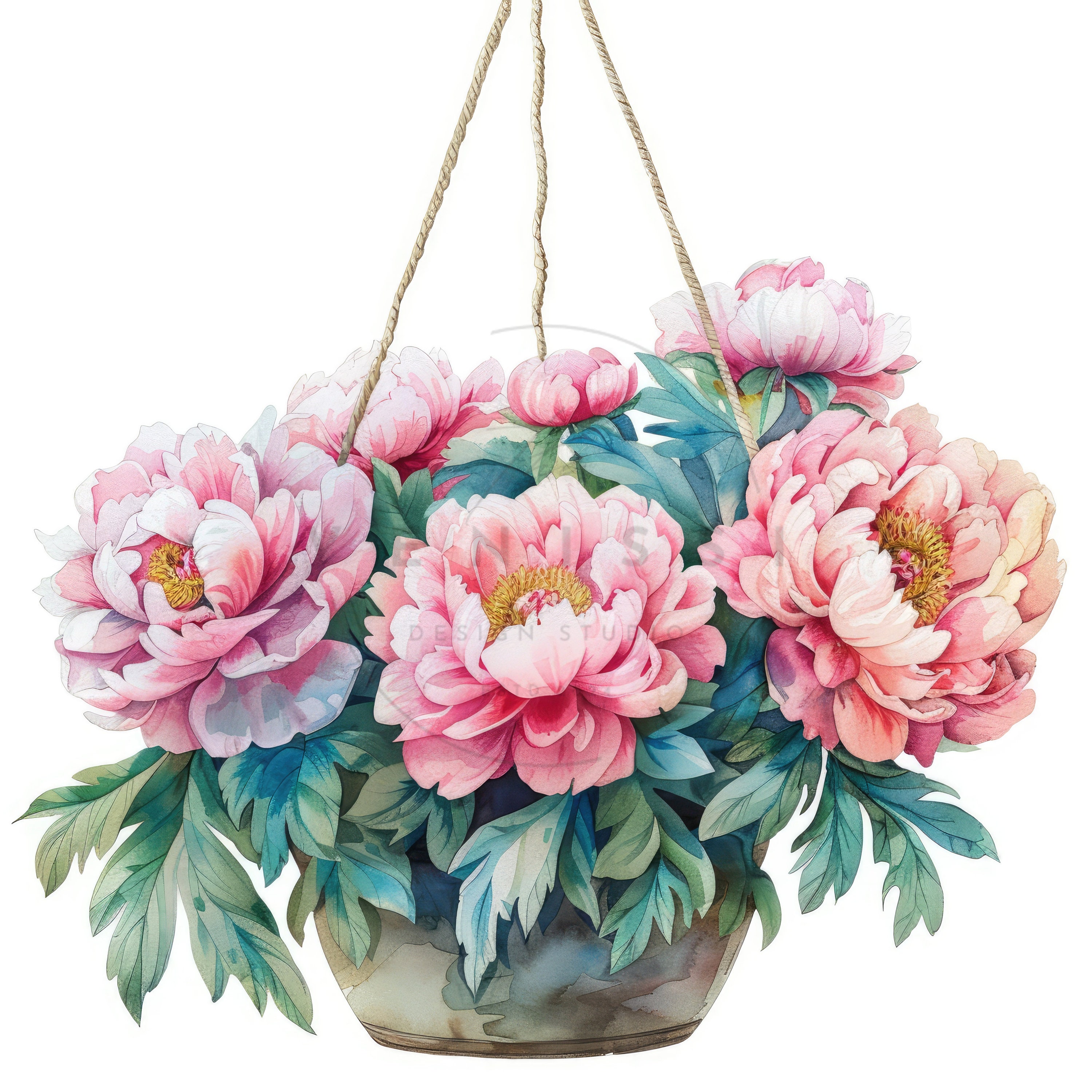 18 Watercolor Peonies Flowers in Hanging Pot Clipart Bundle, Peonies ...