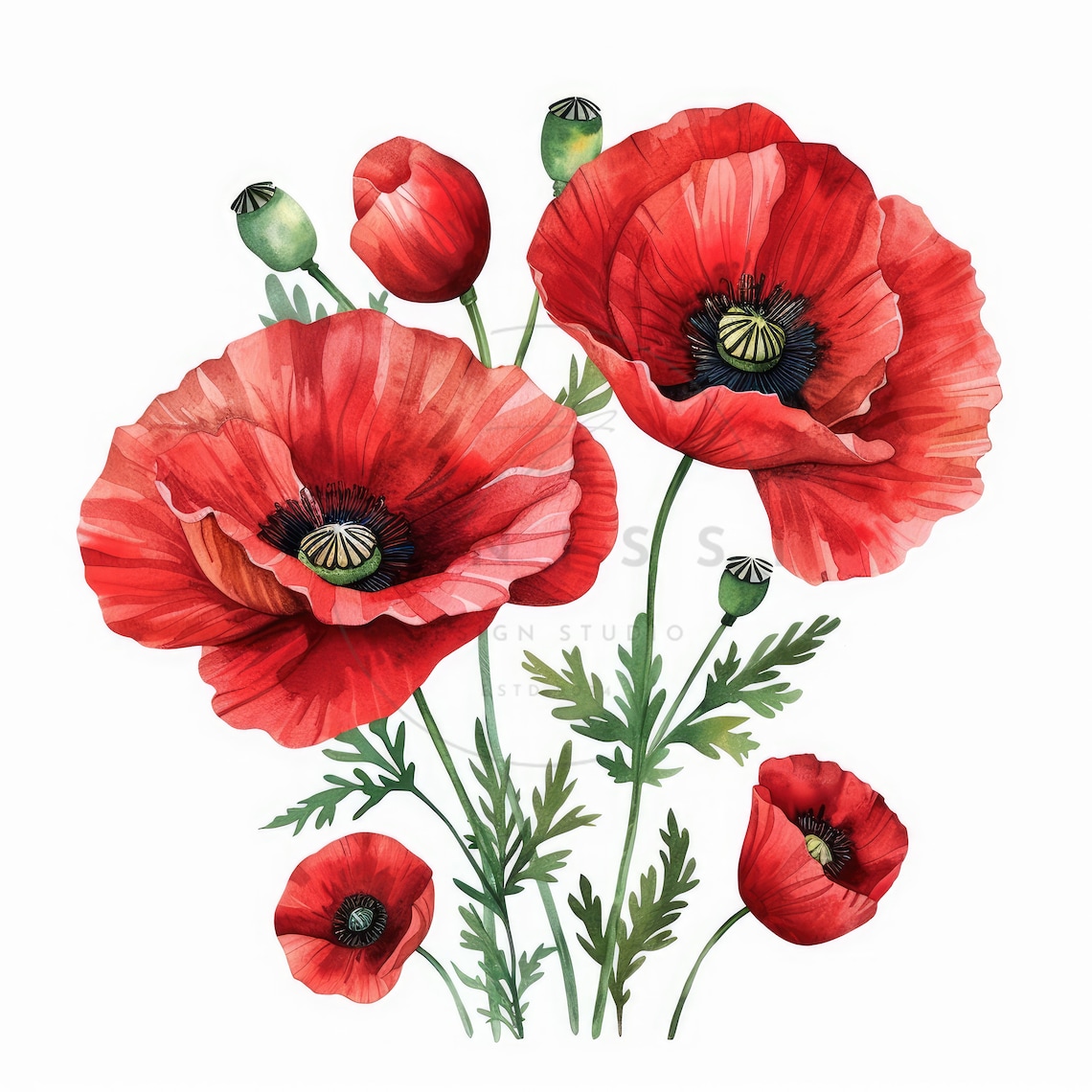 14 Red and Blue Watercolor Poppies Flowers Clipart Pack, Printable High ...