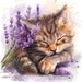 15 Cat With Lavender Clipart, Cat and Flowers Clipart, Printable ...