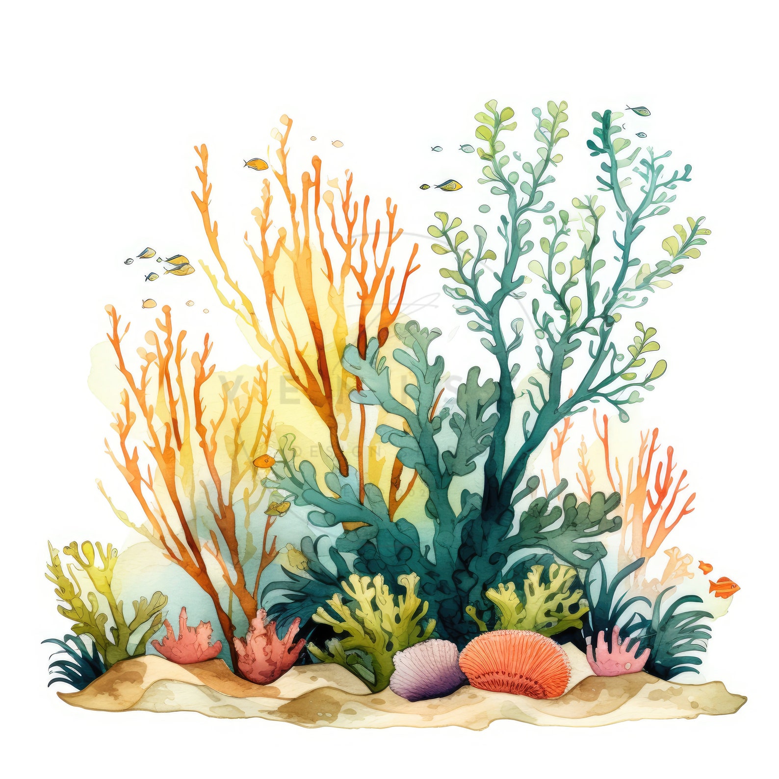 14 Underwater Coral Reef Plants Clipart, Watercolor Coral Reef Clip Art ...