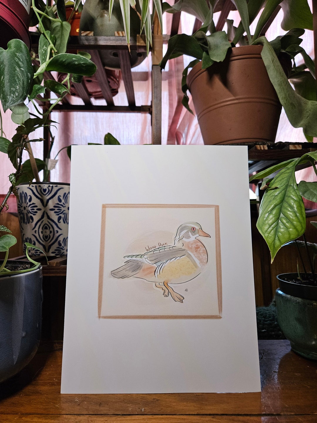Wood Duck Print - Etsy