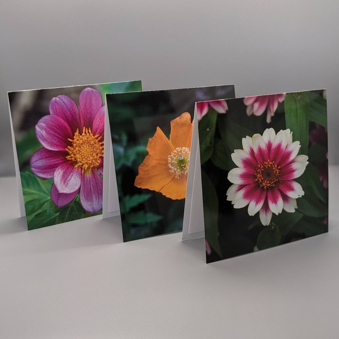 Flower Photography Greeting Cards | Set of 3 Blank Note Cards | 5x5 ...