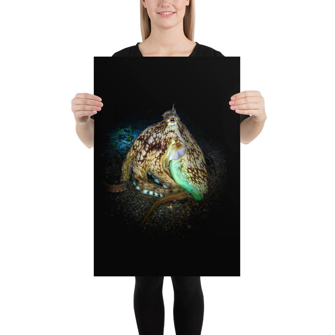 Master of Disguise Unframed Poster - Etsy