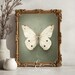 Vintage Butterfly Digital Download – Natural History Insect Wall Art ...