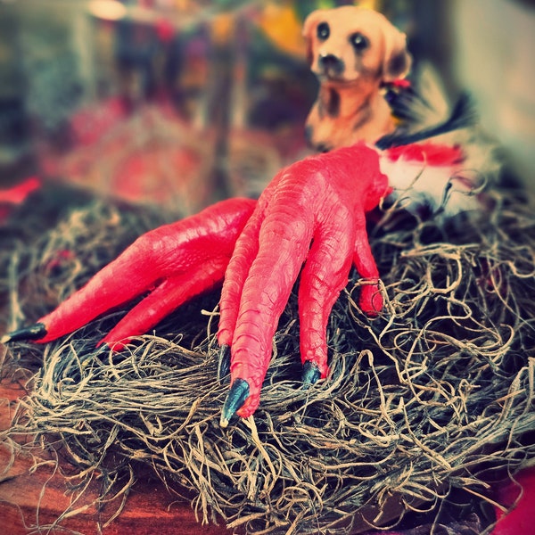 Hoodoo Chicken Feet - Etsy