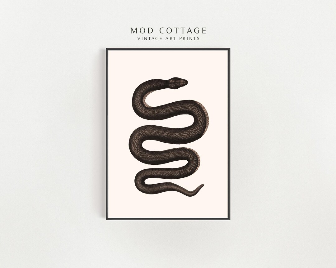 Vintage Snake Print: Dark Academia Halloween Wall Art (digital Download ...