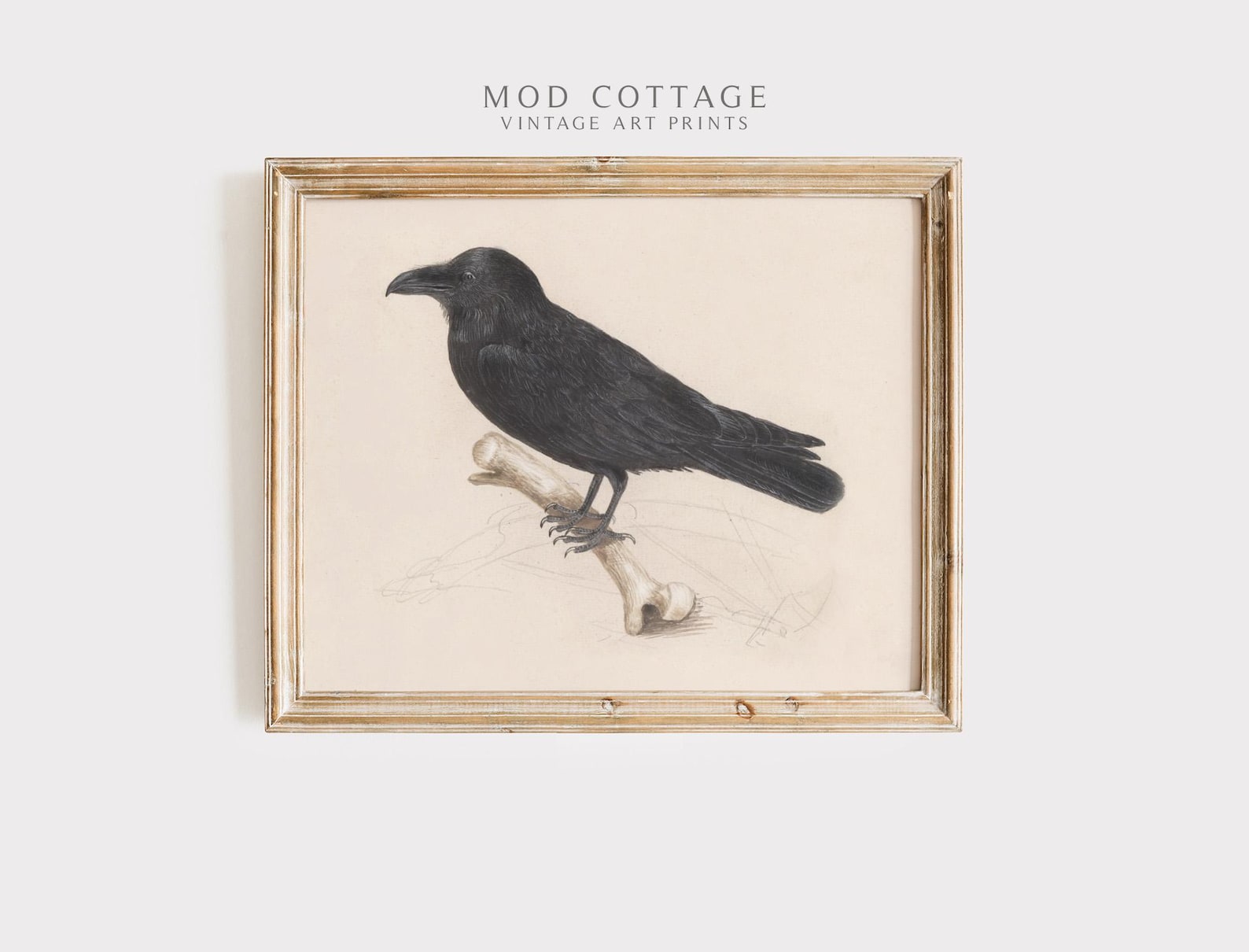 Vintage Victorian Raven Print, Halloween Printable Art, Dark Witchy ...