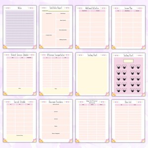 Editable Substitute Teacher Binder, Daily Supply Plans, Teacher on ...