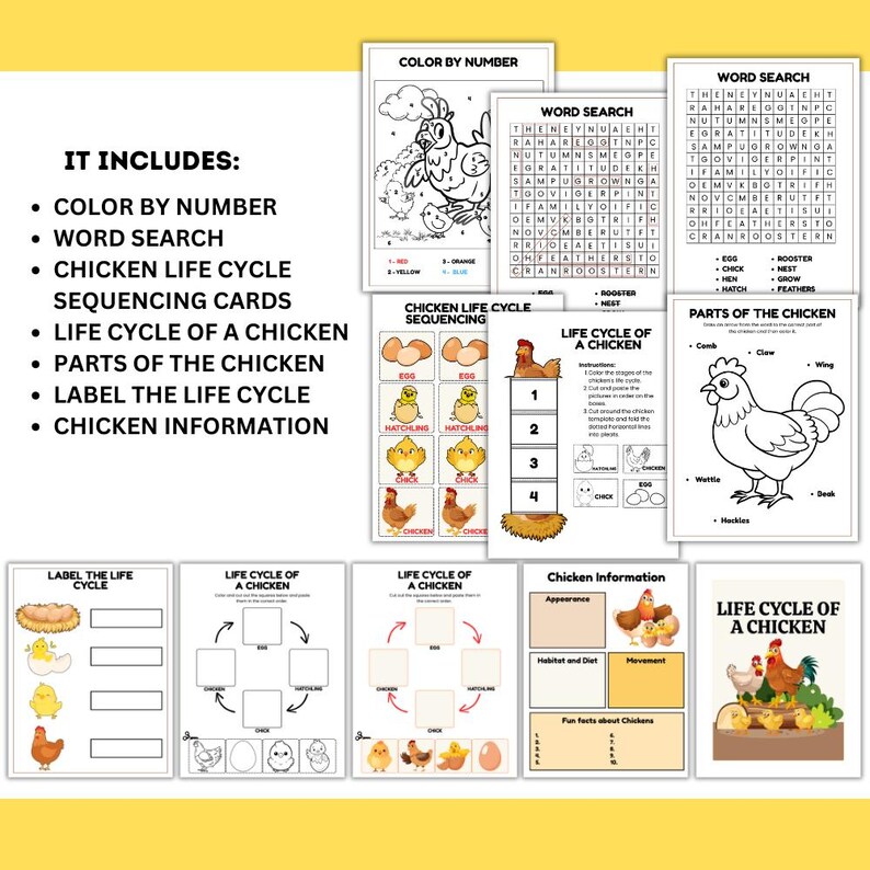 Chicken Life Cycle Printable Activity Pack (PDF Download) - Etsy