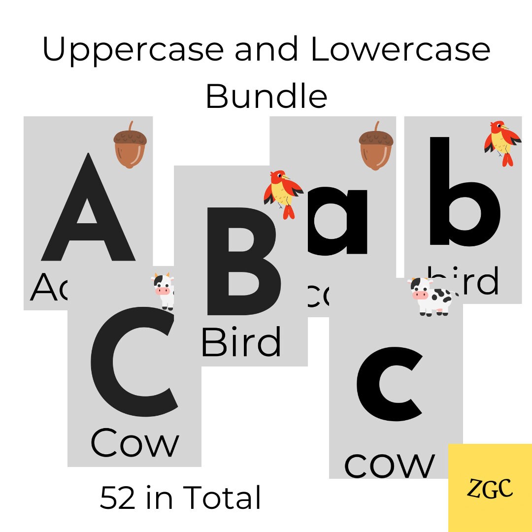 ABC Uppercase and Lowercase Letters, Early Learner Flash Cards ...
