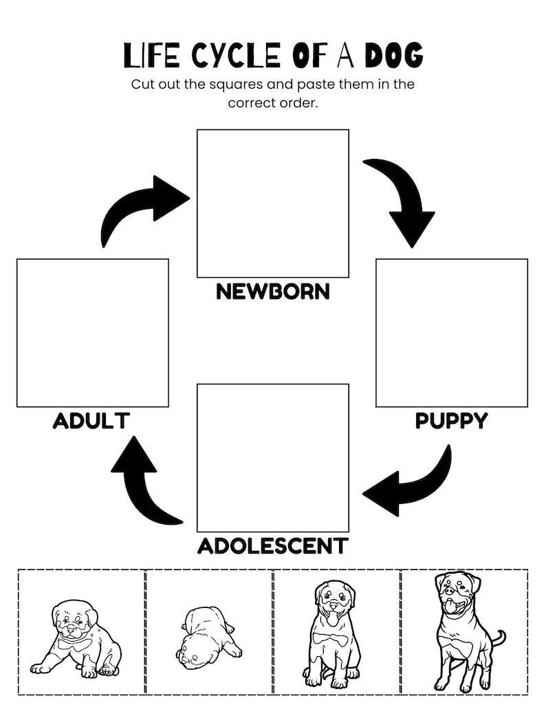 Life Cycle of a Dog Worksheets | Dog Life Cycle Printable | Pet Unit ...