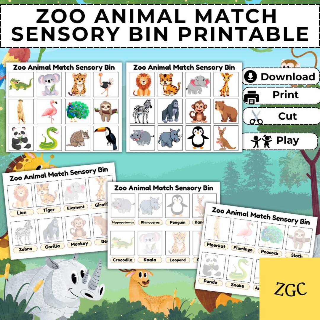 Zoo Animal Match Sensory Bin Activity, Hands on Animal Matching Game ...