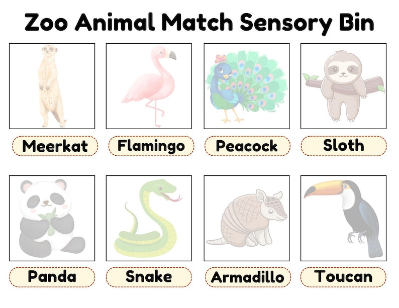 Zoo Animal Matching Cards | Sensory Bin Activity (PDF) - Etsy