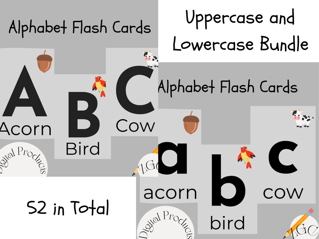 ABC Uppercase and Lowercase Letters, Early Learner Flash Cards ...