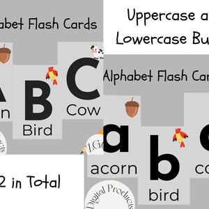 ABC Uppercase and Lowercase Letters, Early Learner Flash Cards ...
